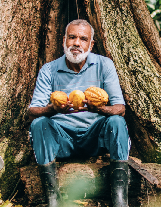Institucional Brasil